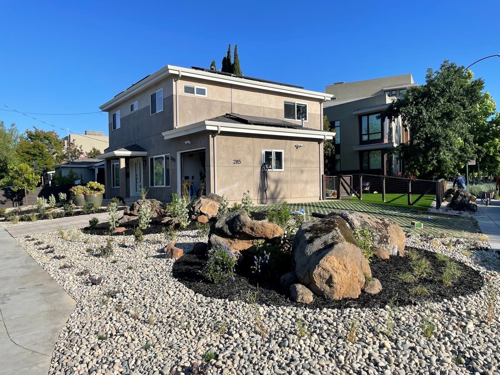 Kelli's Garden Design: California Native Plants